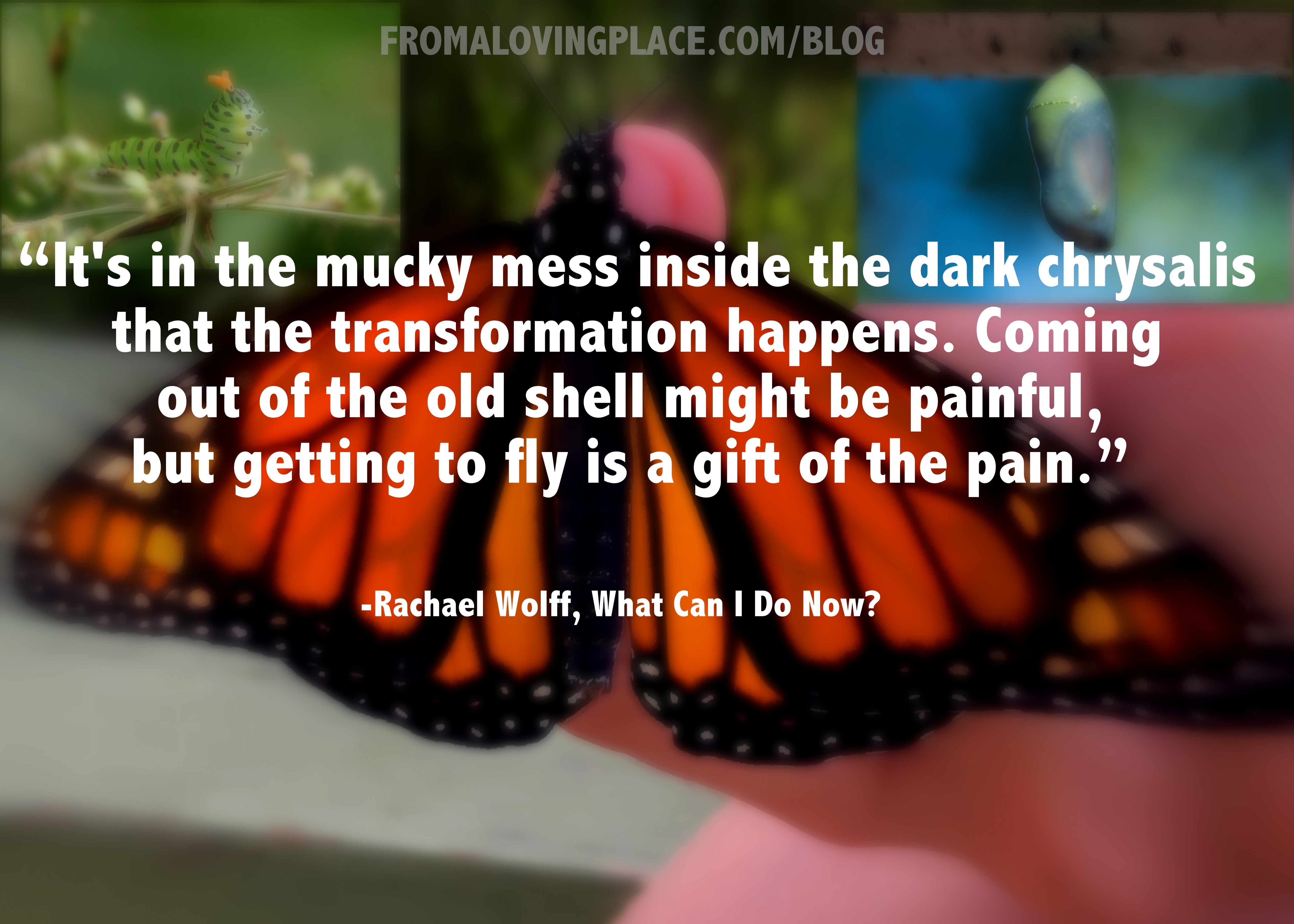 #17 What Can I Do Now? Share My Truth – From A Loving Place